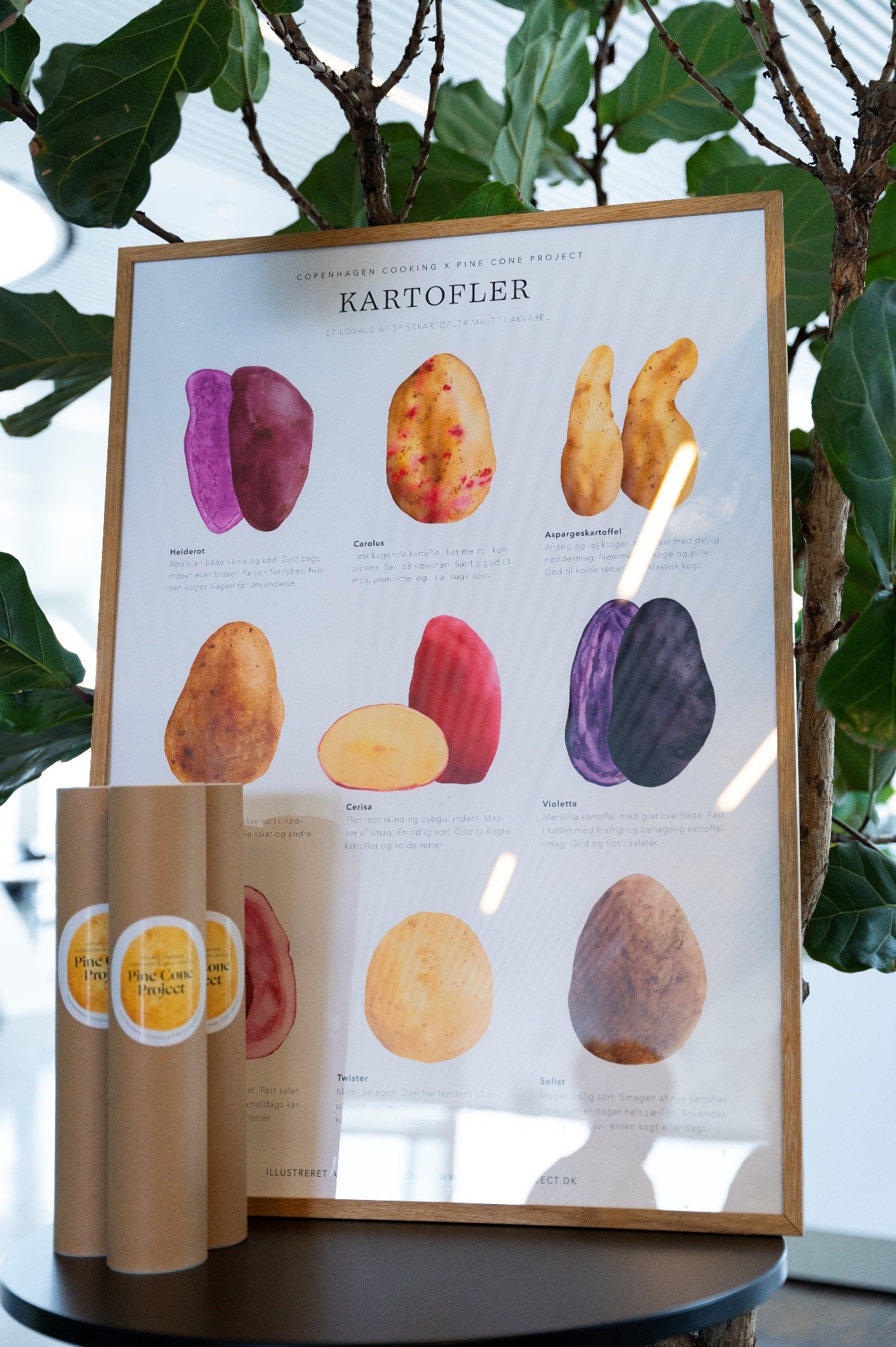 Beyond “New Nordic Cuisine” - Rethinking Sustainability (Part 1) - Food ...